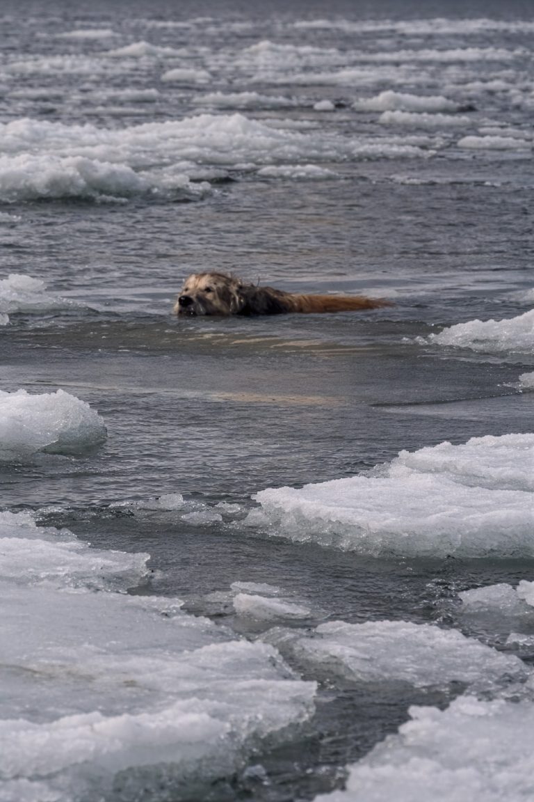 Trapped Beneath the Ice — And Running Out of Strength With Every Second ...